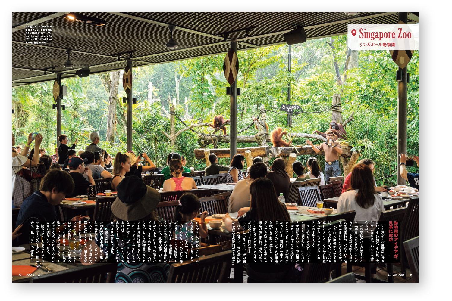 TSTJ Inc. | 翼の王国5月号（2018年）