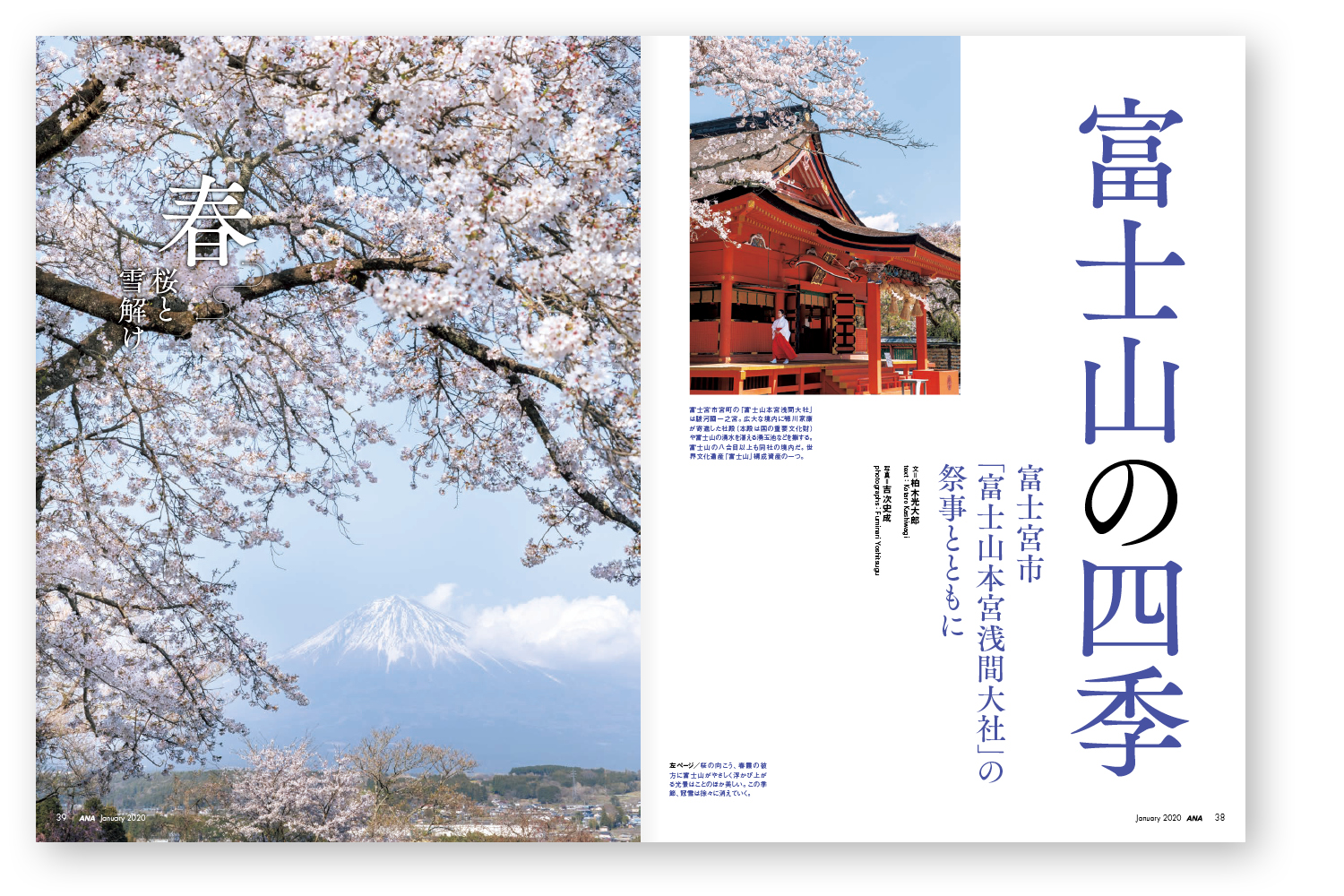 TSTJ Inc. | 翼の王国1月号（2020年）