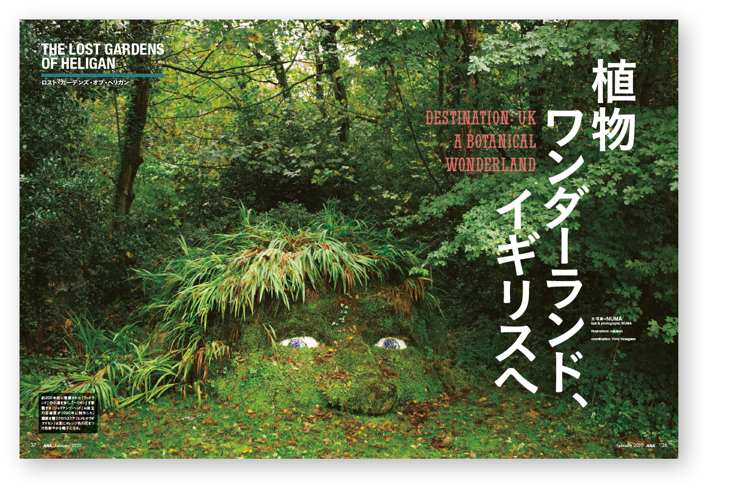 TSTJ Inc. | 翼の王国2月号（2020年）