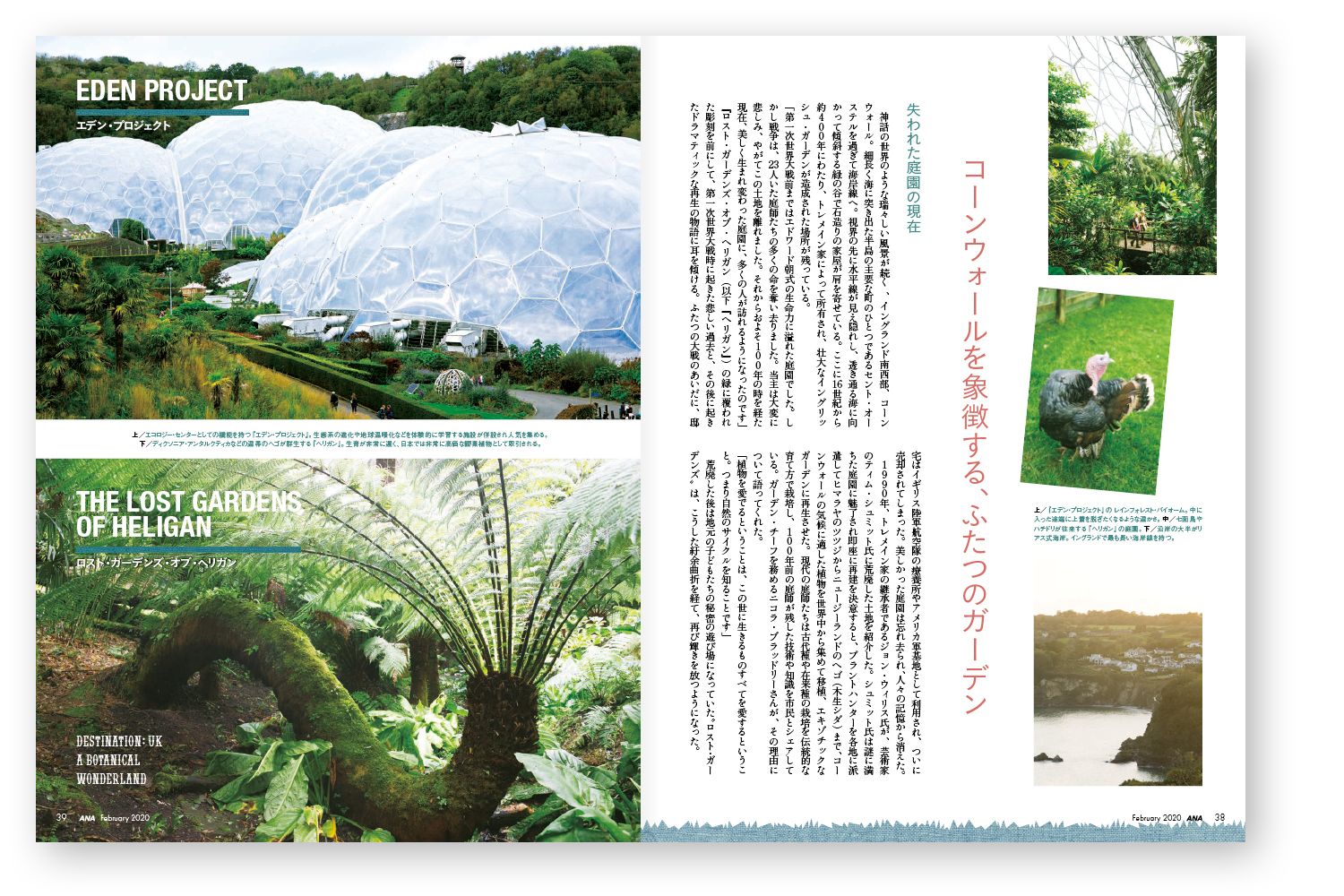 TSTJ Inc. | 翼の王国2月号（2020年）