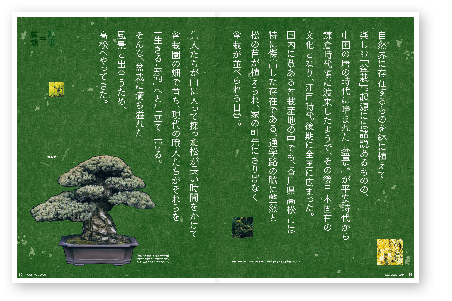 TSTJ Inc. | 翼の王国5月号（2020年）