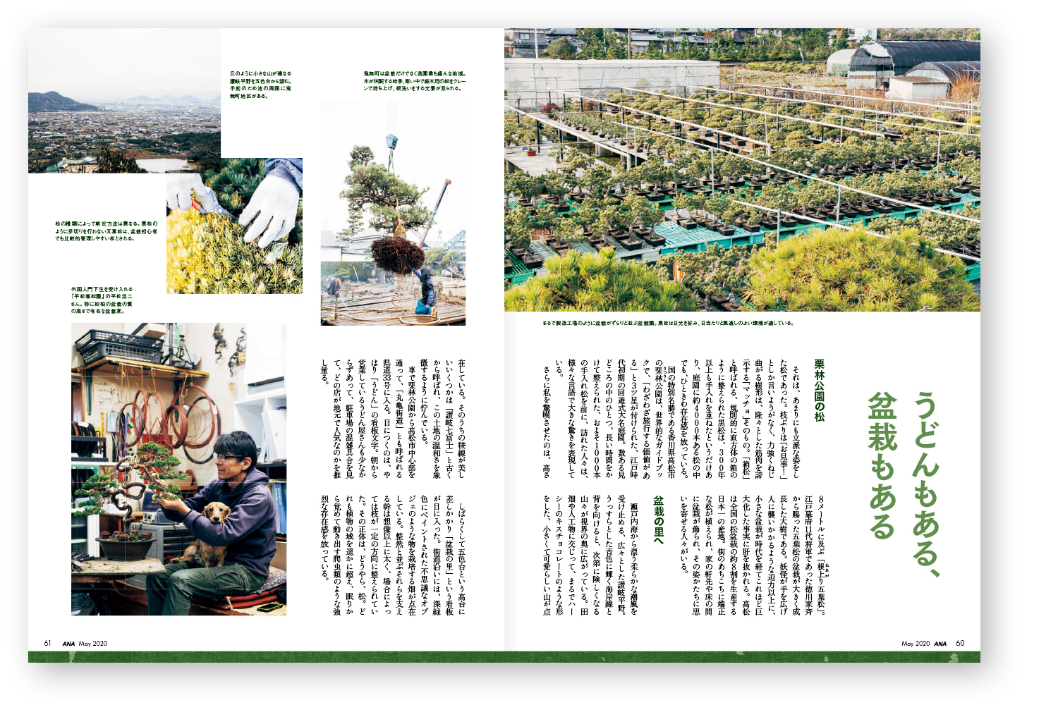 TSTJ Inc. | 翼の王国5月号（2020年）