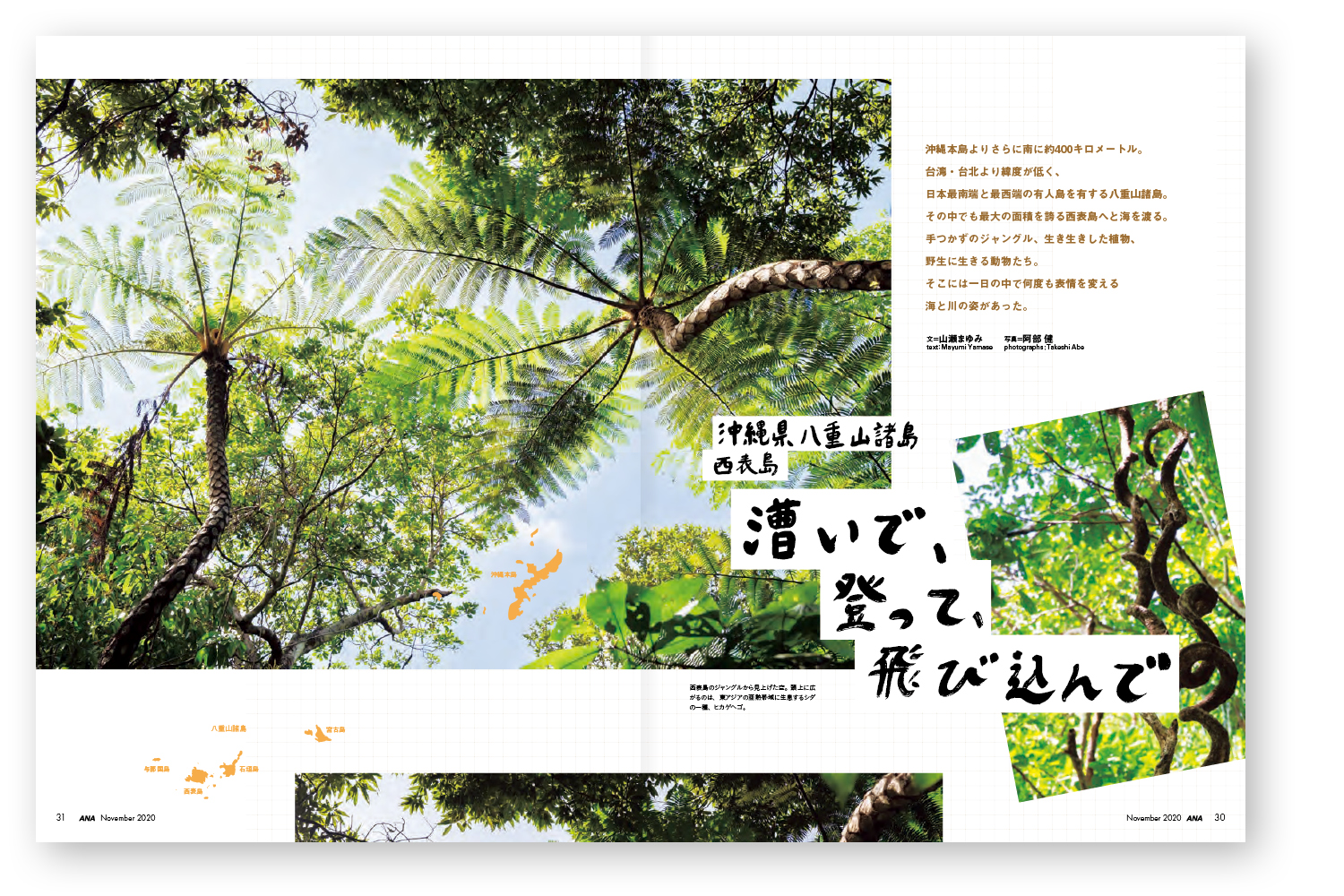 TSTJ Inc. | 翼の王国11月号（2020年）